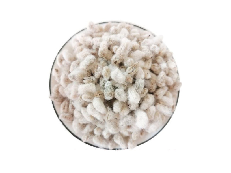 Xinjiang Chenguang Biotechnology Co., Ltd